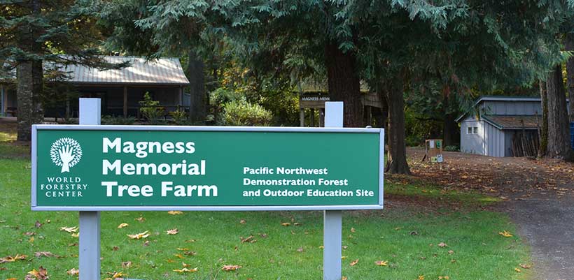 Magness Memorial Tree Farm – World Forestry Center - Wilsonville ...